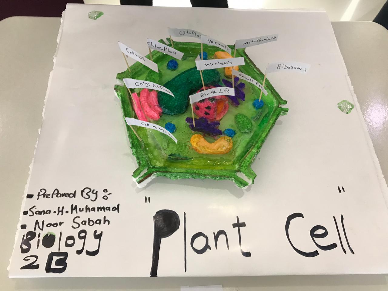 Plant Cell 3d Edible
