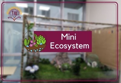 Biology 4th Grade Students re-newed Mini Ecosystem Project at TIU ...