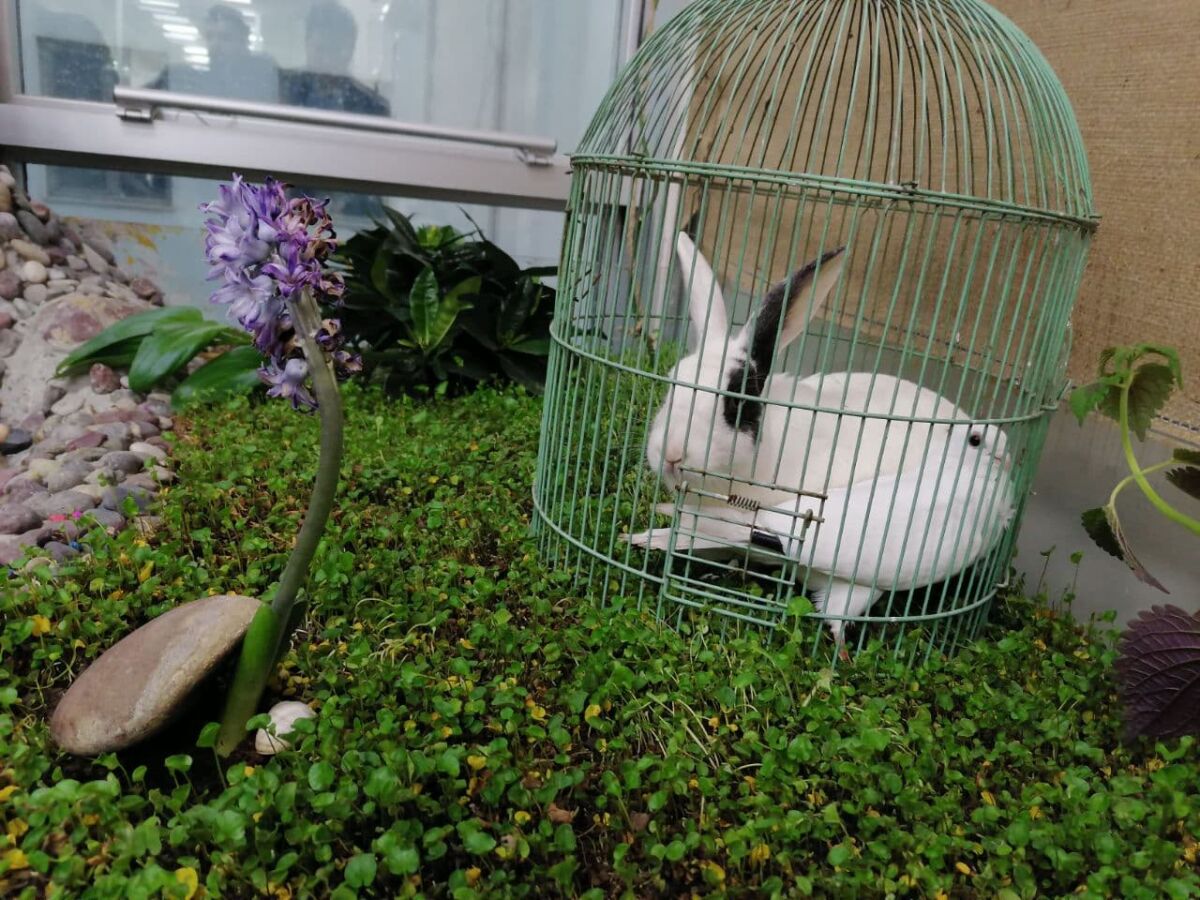 Biology 4th Grade Students re-newed Mini Ecosystem Project at TIU ...