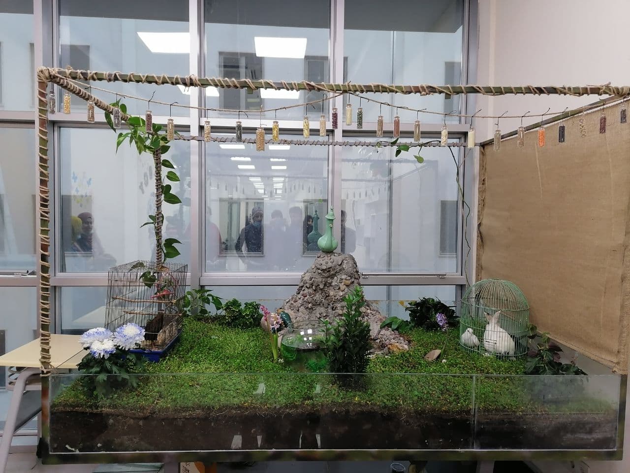 Biology 4th Grade Students re-newed Mini Ecosystem Project at TIU ...