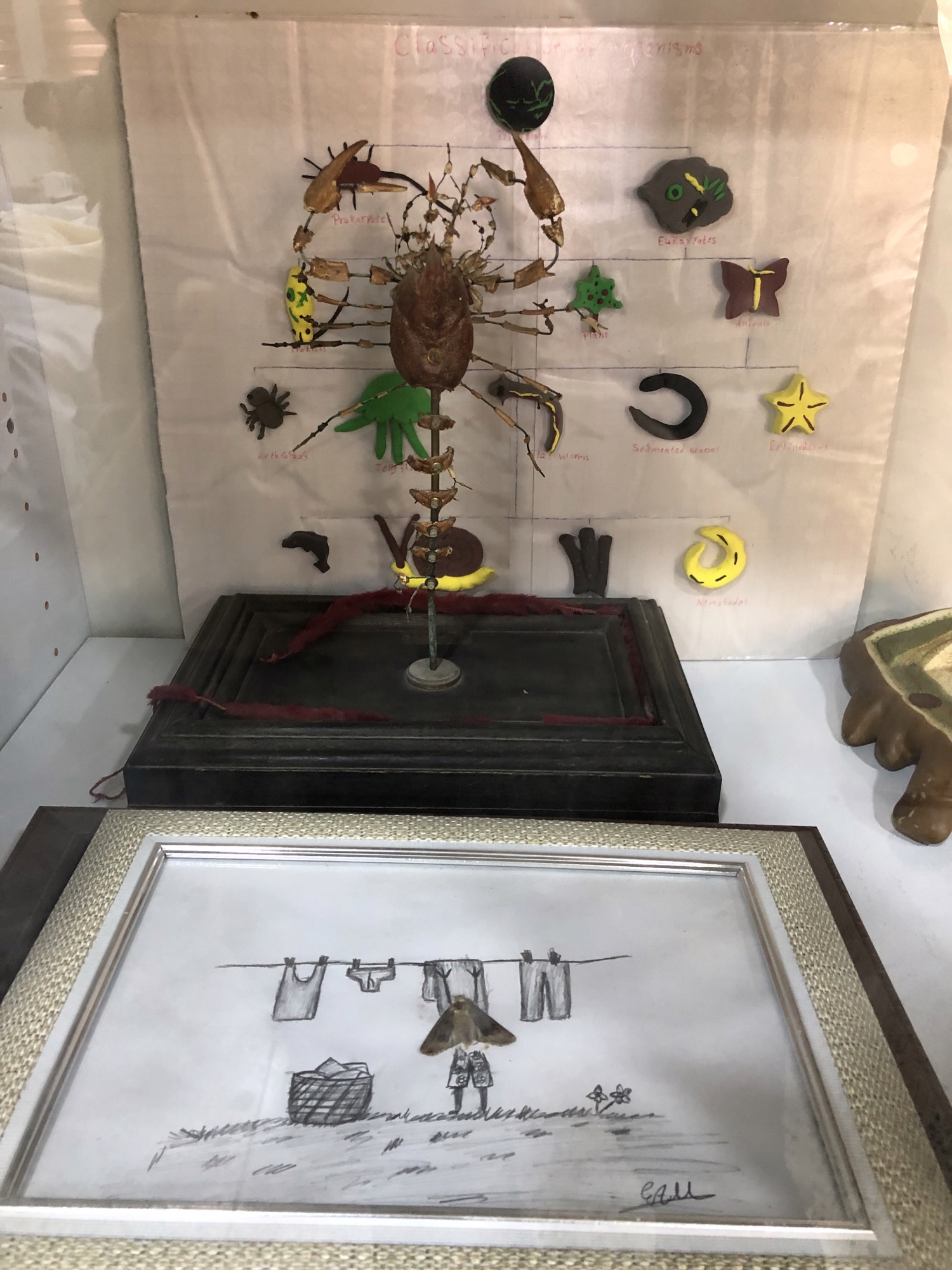 Scientific Trip to Invertebrate Laboratory - TIU