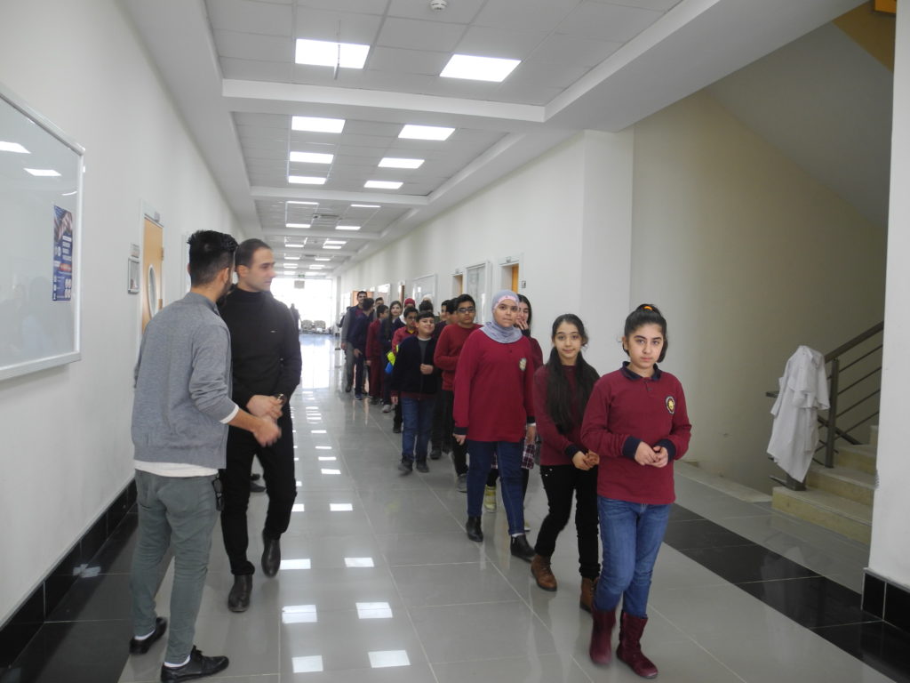 Celebrating Fibonacci Day – Mathematics Education Department TIU